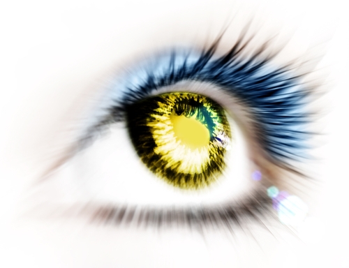 Feite Oor Visuele Geheue | Edublox